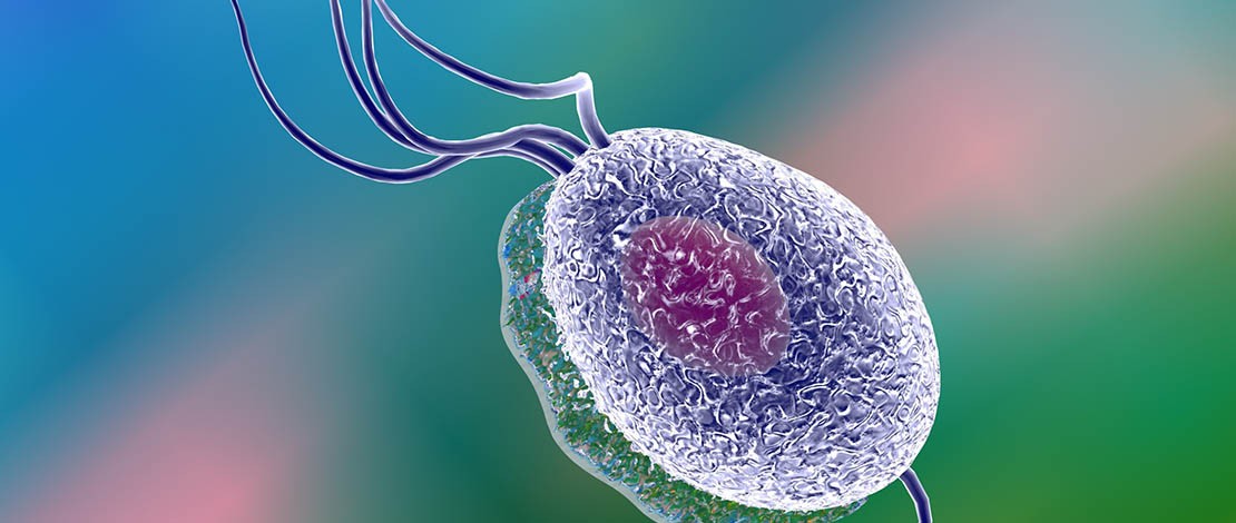 How Are STIs Transmitted (spread)? | Vitall.co.uk